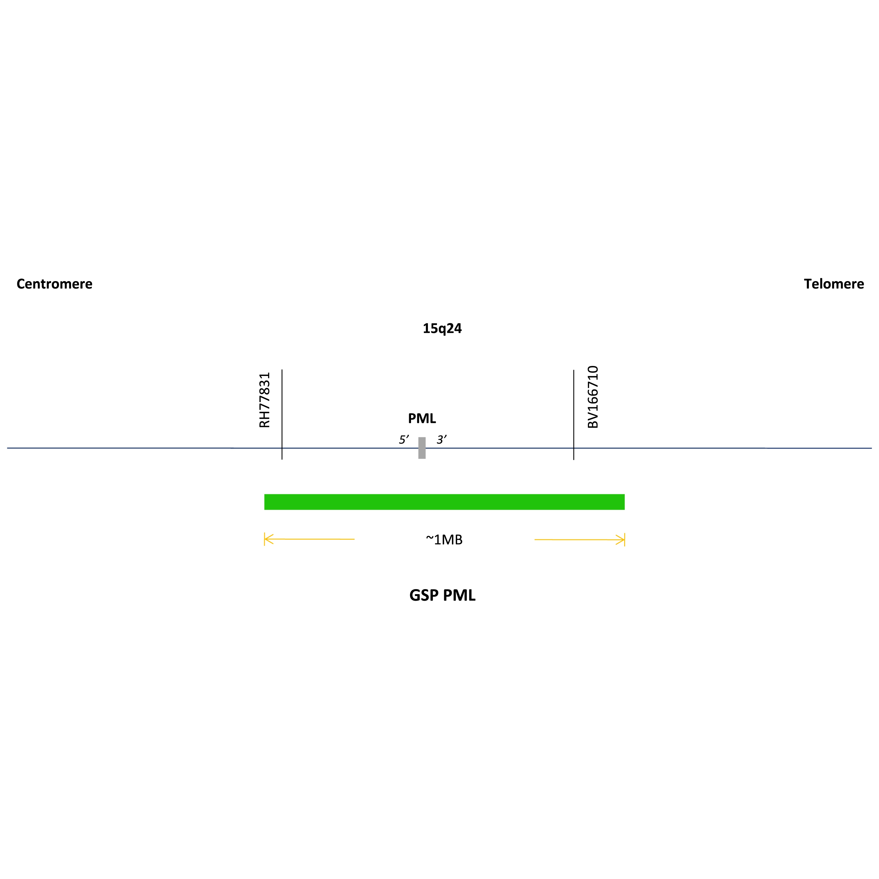 PML/RARA融合基因检测试剂盒（荧光原位杂交法）-探针-广州安必平医药科技股份有限公司-肿瘤-筛查与诊断-LBP-PCR-IHC-FISH